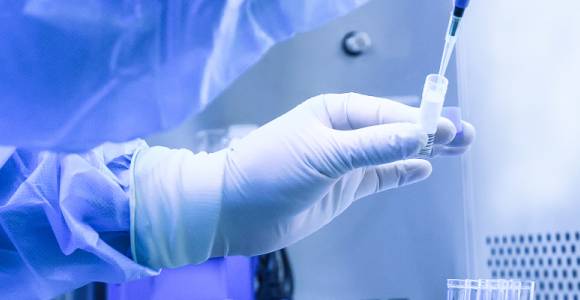 Introduction to experimental neuroscience - Short Term Programs